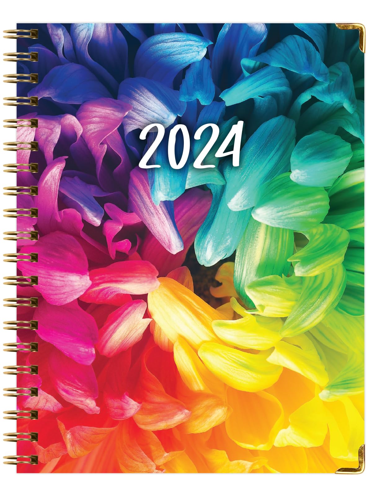 Global Printed Products, HARDCOVER 2024 Planner: (November 2023 Through December 2024) 8.5"x11" Daily Weekly Monthly Planner Yearly Agenda. Bookmark, Pocket Folder & Sticky Note Set (Rainbow Petals)