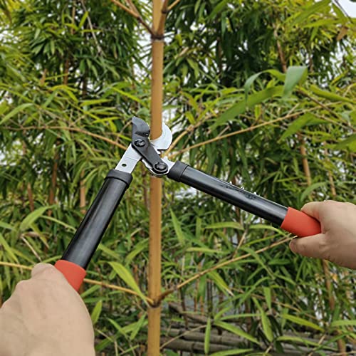 KLDOLLAR 15 Inch Tree Trimmer, Super Powerful Gear Loppers, Gardening Pruners, Lightweight Branch Cutter with 1.3 Inch Cutting Capacity, Sharp Precision Alloy Steel Blade