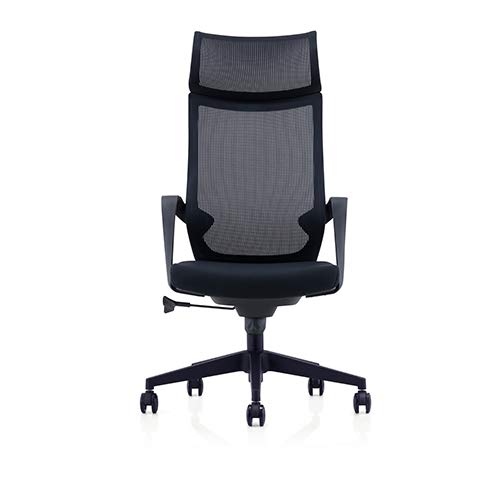 Ergonomic Mesh Office Chair with Synchro-Tilt, Pivot Adjustable Headrest, Lumbar Support, Coat Hanger and Adjustable Arms in Black (193A)