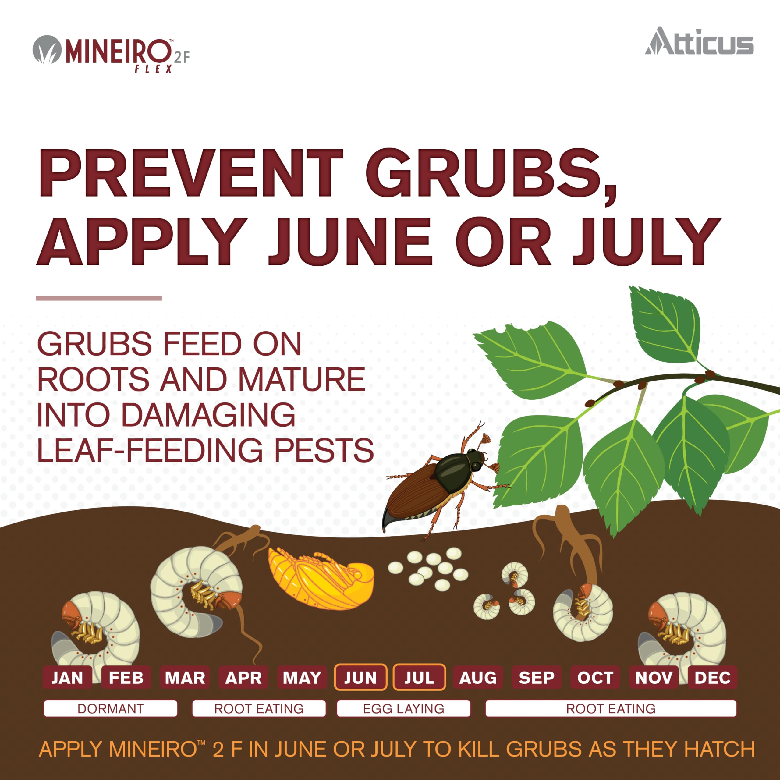 Mineiro 2F Flex Imidacloprid Systemic Insecticide (1 Gal) by Atticus β Grub and Insect Control in Lawns and Landscapes
