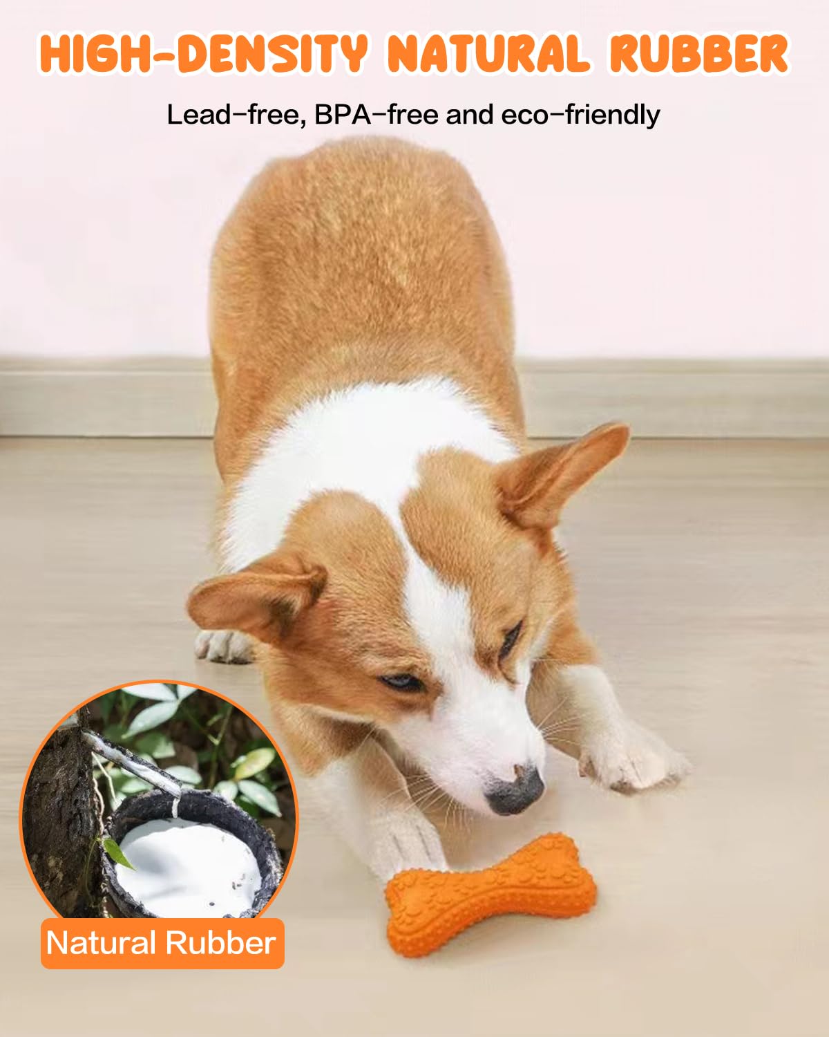 SCHITEC Dog Chew Toy, Puppy Teething Bone for Dental Health, Interactive Non-Toxic Natural Rubber Toys for Small Medium Pets