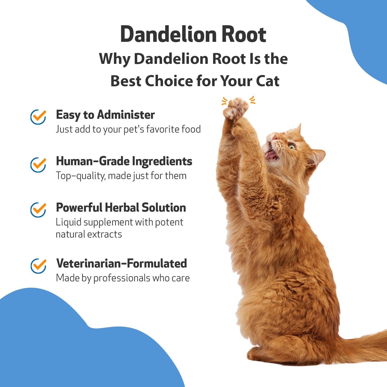 Pet Wellbeing Dandelion Root for Cats - Liver & Heart Health, Digestive Function, Blood Sugar Support, Certified Organic - Veterinarian-Formulated Herbal Supplement 2 oz (59 ml)