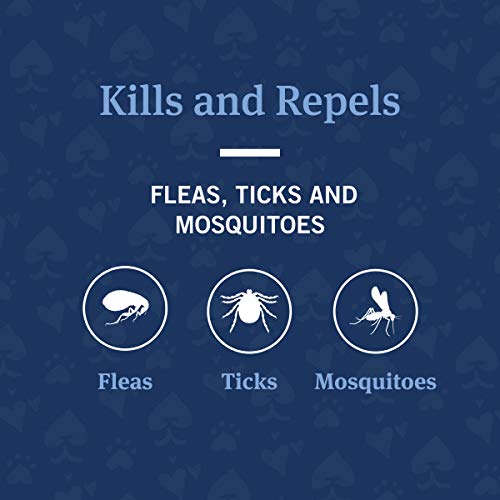 PetArmor Max Flea, Tick and Mosquito Prevention for X-Large Dogs (Over 55 Pounds), Topical Dog Flea Treatment Repels and Kills, 6 Month Supply