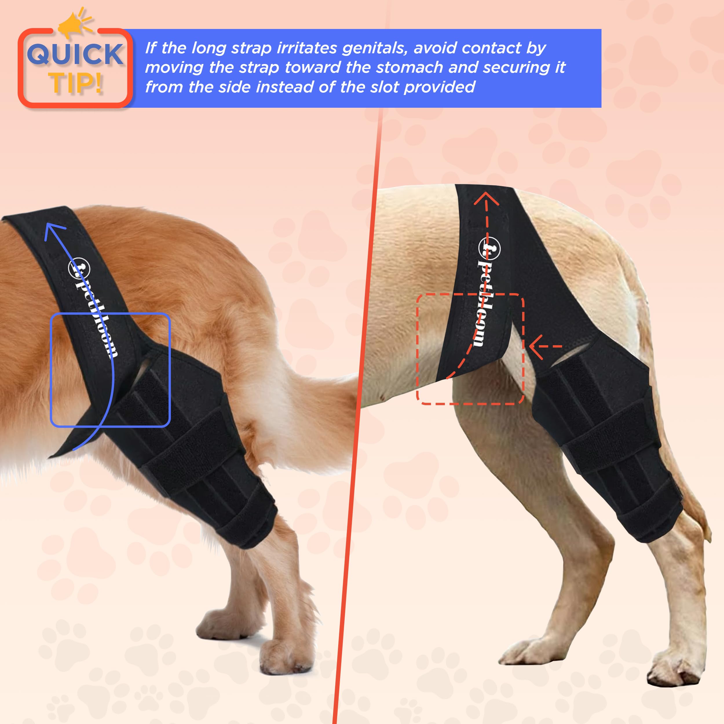 petbloom Dog Knee Brace for Torn ACL, Hip Dysplasia, Arthritis Pain Relief, Osteoarthritis, and Ligament Injuries, Adjustable Neoprene Support for Front or Hind Leg, Black (Large)