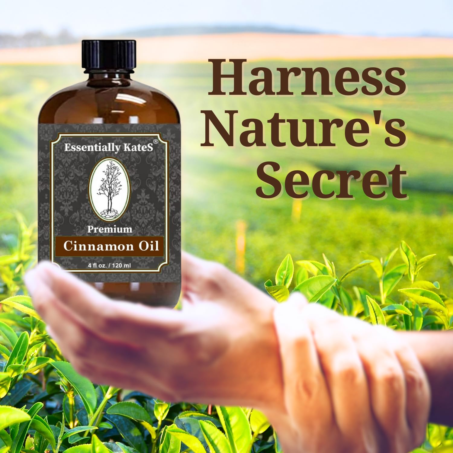 Essentially KateS Orange Essential Oil 4 oz - 100% Natural Therapeutic Grade - Skin Care, Moisturizer, Aromatherapy, Air Freshener, Diffuser, Household Cleansing Solution, Kitchen Use, Wood Polisher