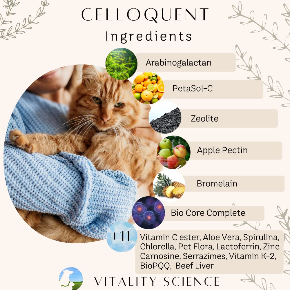 Vitality Science Celloquent for Dogs | Enhanced Immune Support | Maintains Proper Gut pH | Boosts Organ Function | Aids Detoxification & Healthy Inflammatory Response | 100% Safe and Natural (120g)