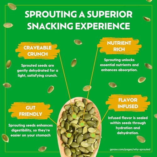 go Raw with Sea Salt Sprouted Organic Bag Keto Vegan Gluten Free Snacks Superfood, Sunflower Seeds, 14 Oz