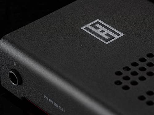 Schiit Magni Heretic Affordable No-Excuses Op-Amp Headphone Amp & Preamp (Black)