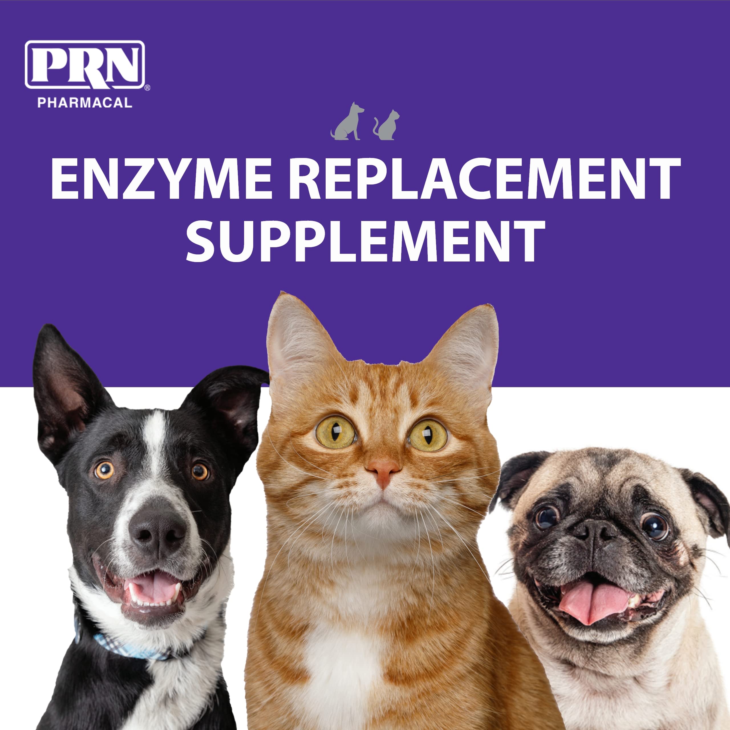PRN Pharmacal ProZyme Original Formula Enzyme Replacement Supplement - Reinforces Animal's Digestive System, Supports Dog & Cat Food Breakdown - Promotes Pet's Digestive Health - 85 g, 3 Oz Bottle