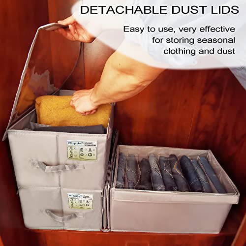 Riquie 2 Pcs Foldable Wardrobe Clothes Organizer for Jeans, Newly Upgrade Washable Closet Drawers Organizers and Storage Pants, Thin Coat with Handle Clear Lids Label (9 Grids Grey)