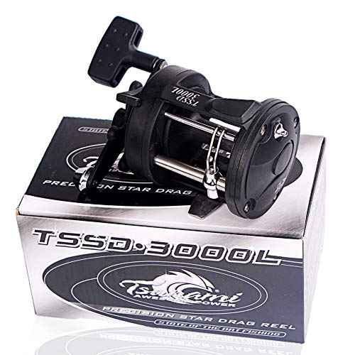 Sougayilang Trolling Reel Graphite Level Wind Fishing Reels, High Speed Gears Smoothest Drag, Popular Method Used Boat Saltwater Surf Casting Fishing,Size 3000L