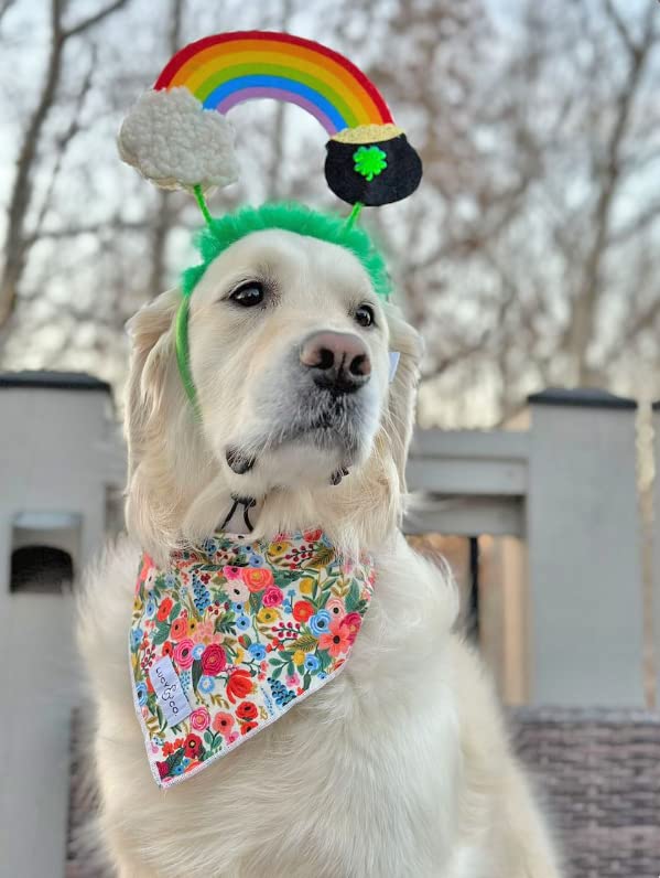 Midlee St. Patrick's Rainbow Pot of Gold Dog Headband