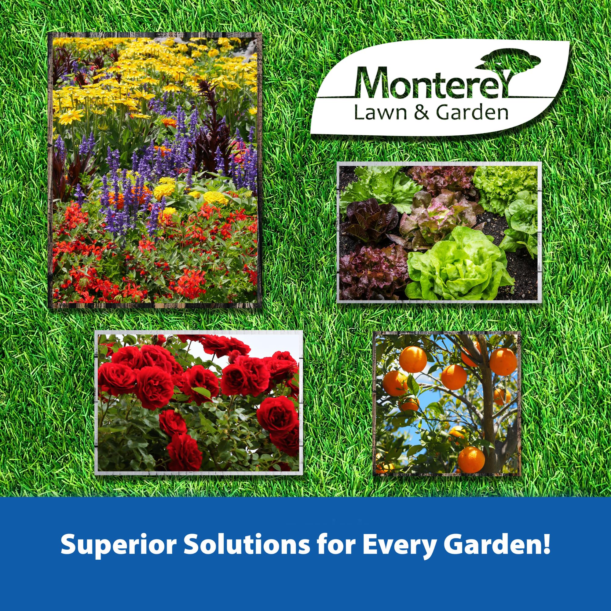 Monterey - 70% Neem Oil - Ready-to-Spray Insecticide, Miticide, & Fungicide - 15 Ounces