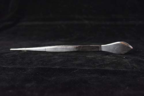 Japanese Stainless Bonsai Straight Tweezers w/Spatula - 2 in 1 Gardening Tool