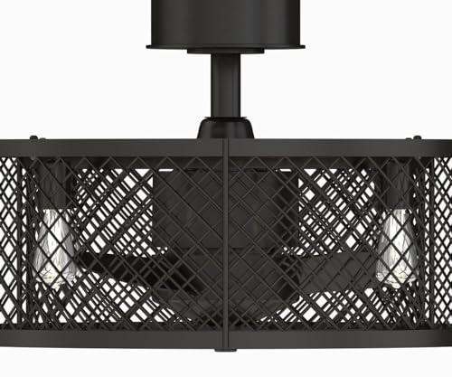 Fanimation Studio Collection LP8350BLAZ Vintere Caged Ceiling Fan with LED Light Kit, 20 Inch, Aged Bronze