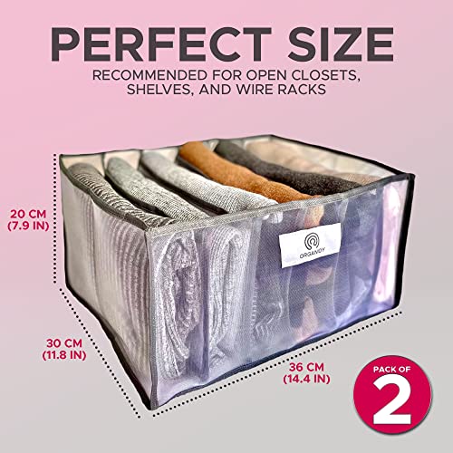 ORGANIDY Wardrobe Clothes Organizer for Underwear - Closet Organizers and Storage, Storage Drawers, and Organizer Bins - 6 Grids for Bras, Socks, and Jeans - 11.8" x 14.2" x 7.9", Clear Mesh 2-Pack