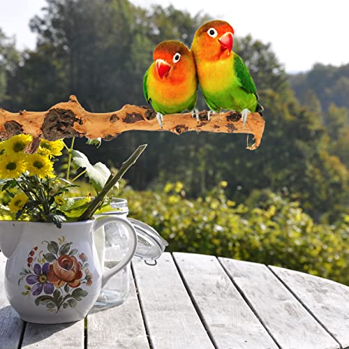 PATKAW Natural Wood Parrot Perch 2pcs Bird Wood Stand Branches Bird Cage Hanging Perch Bird Wooden Chew Toy for Pet Bird Cage Hammock Climbing Toy