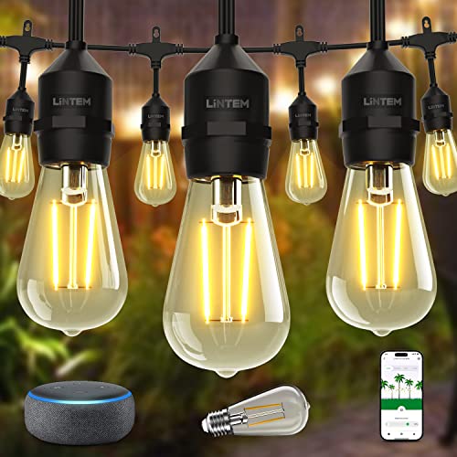 Lintem Smart Outdoor String Lights, 102ft Shatterproof Dimmable Patio Lights IP65 30 Replaceable Bulbs 2700K Vintage Edison Lights Work with Alexa Google Assistant for Backyard Party Balcony
