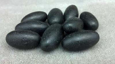 Pachamama Essentials Rare Large Black Shiva Lingam - Shiva SHALIGRAM - Healing Stone - Crystal Healing 1" 3 pcs