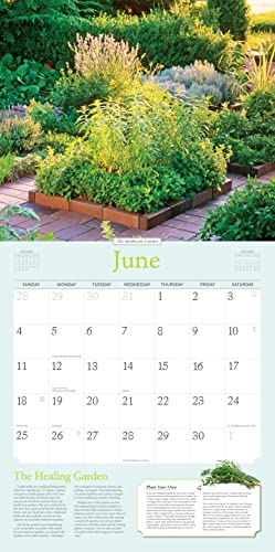 Rosemary Gladstar's Herbs Wall Calendar 2023: Recipes and Remedies for Health and Home
