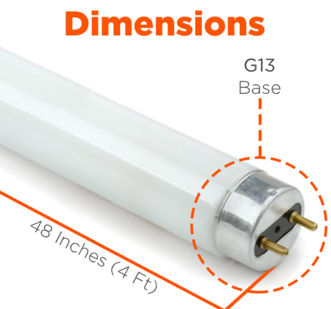 GoodBulb 48-Inch T8 Fluorescent Light Bulbs 32-Watt, 5000K Daylight White Color, 2900-Lumens, G13 Medium Bi-Pin Base (Pack of 25 Bulbs)