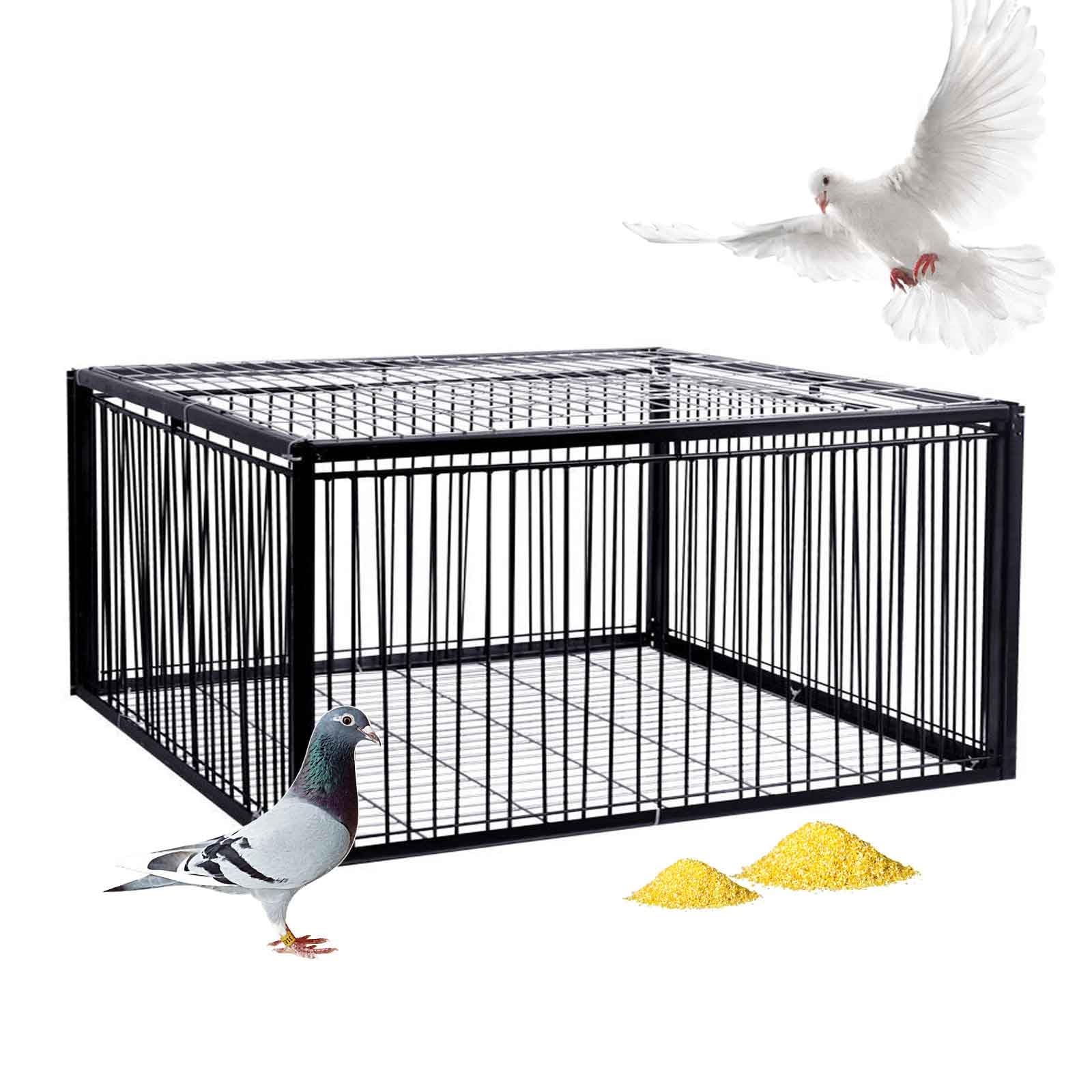MBBTAG Pigeon Trap, Auto Trap Bird Cage, 4 Entrances, One-way Design for Entry but Not Exit, Bird Traps for Small Birds, Sparrow Trap, Suitable for Gardens, Balconies, Farms and Warehouses(Black,39.37