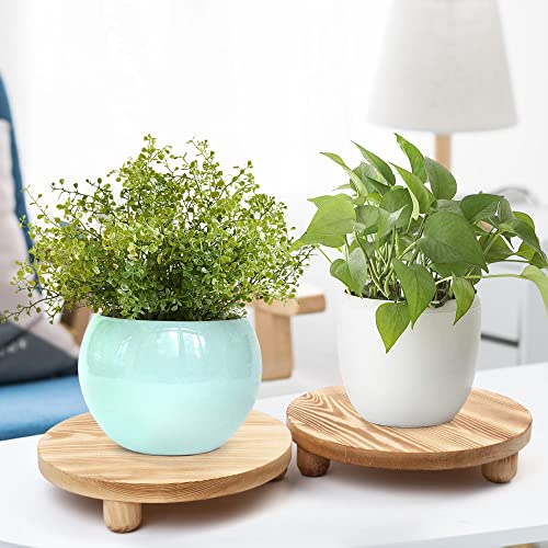 LotFancy Wooden Plant Stool, 2Pack, 10β Low Plant Stand, Round Pot Flower Pedestal Riser Holder for Indoor Outdoor Display