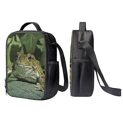 Parprinty Girls Boys School Backpack with Lunch Box Pencil Case Comfy Padded Lightweight Toad Backpack Set Kids Cute Bookbag Insulated Lunch Bag Student Large Capacity Daypack 17 Inch