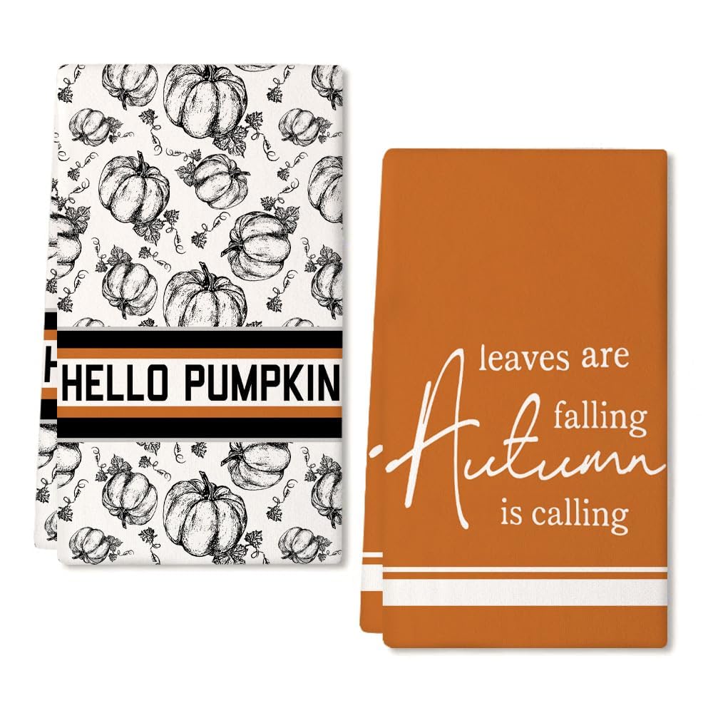 GEEORY Fall Kitchen Dish Towels Set of 2 for Fall Decor,Hello Black Printed Stripes Pumpkin 18x26 Inch Drying Dishcloth,Farmhouse Home Decoration GD117