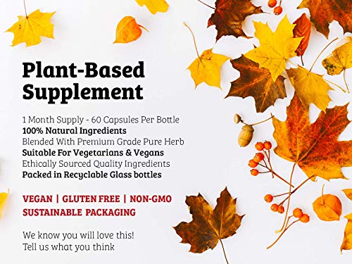 DR WAKDE'S Kantakari Capsules (Solanum xanthocarpum, 60 Veg Caps, Plant-Based Supplement, Ayurvedic Herb, All Natural, Vegan)
