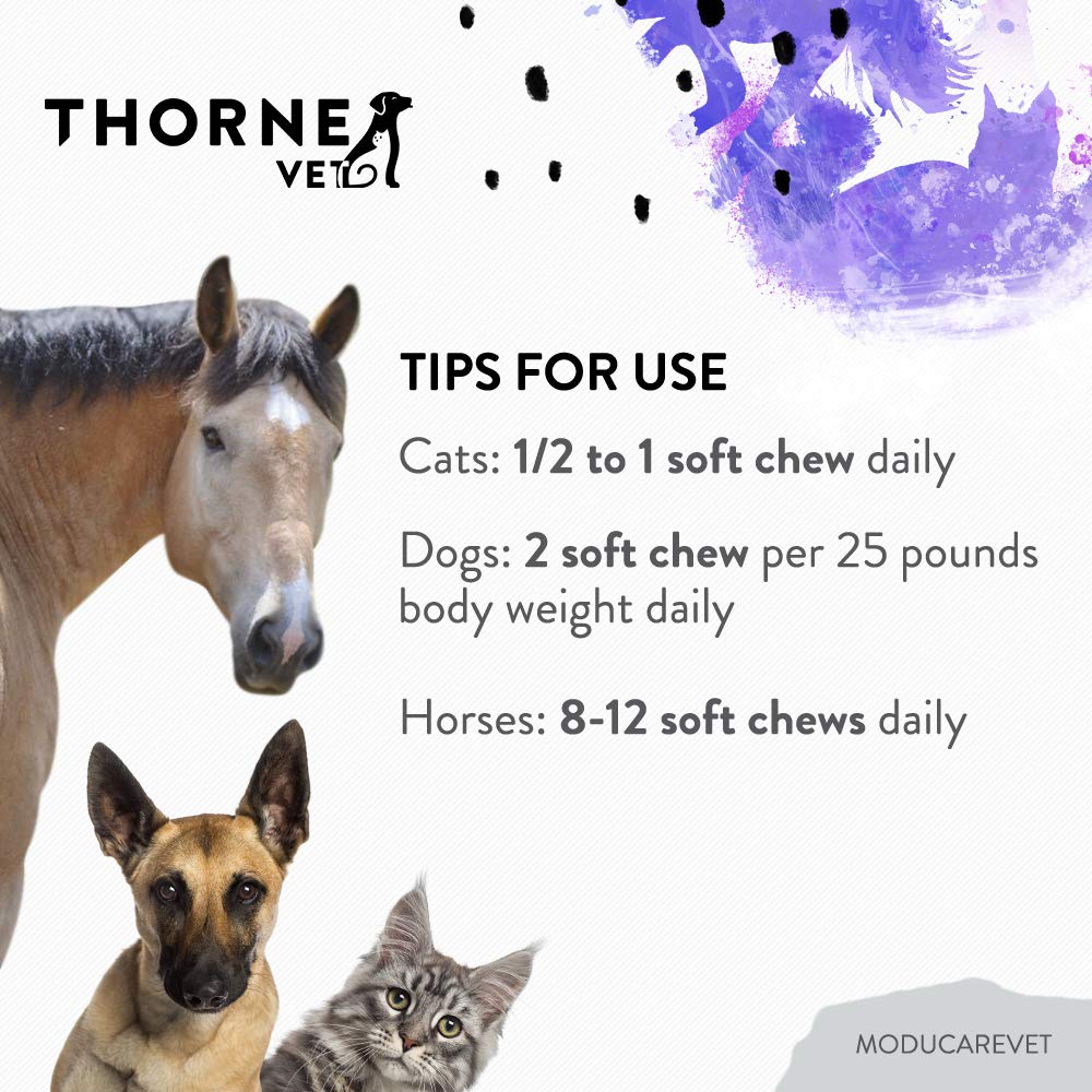 ThorneVet ModucareVET β Immune System Support from Plant Sterols for Dogs, Cats & Horses, 90 Soft Chews