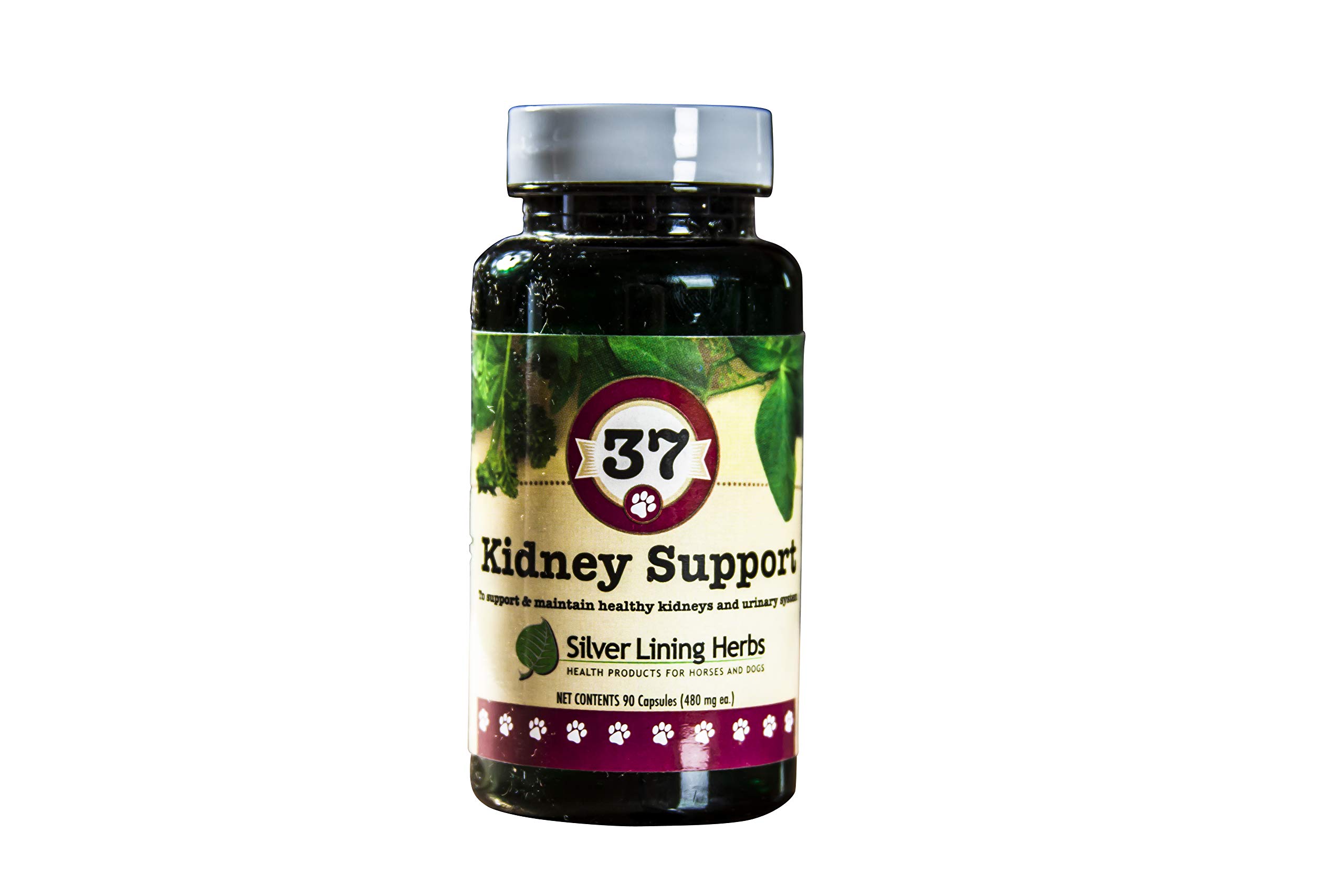 Silver Lining 37 Canine Kidney Support - Herbal Dog Supplement - Natural Support Blend for Normal Kidney & Bladder Function - 90 Capsules