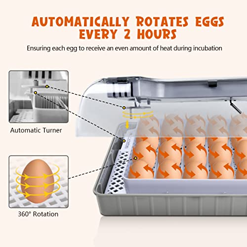 Incubators for Hatching Eggs, 20 Egg Incubator with Temperature & Humidity Display, Automatic Egg Turner and Water Adding, Temperature Control, with LED Egg Candler, for Hatching Chickens, Duck, Quail