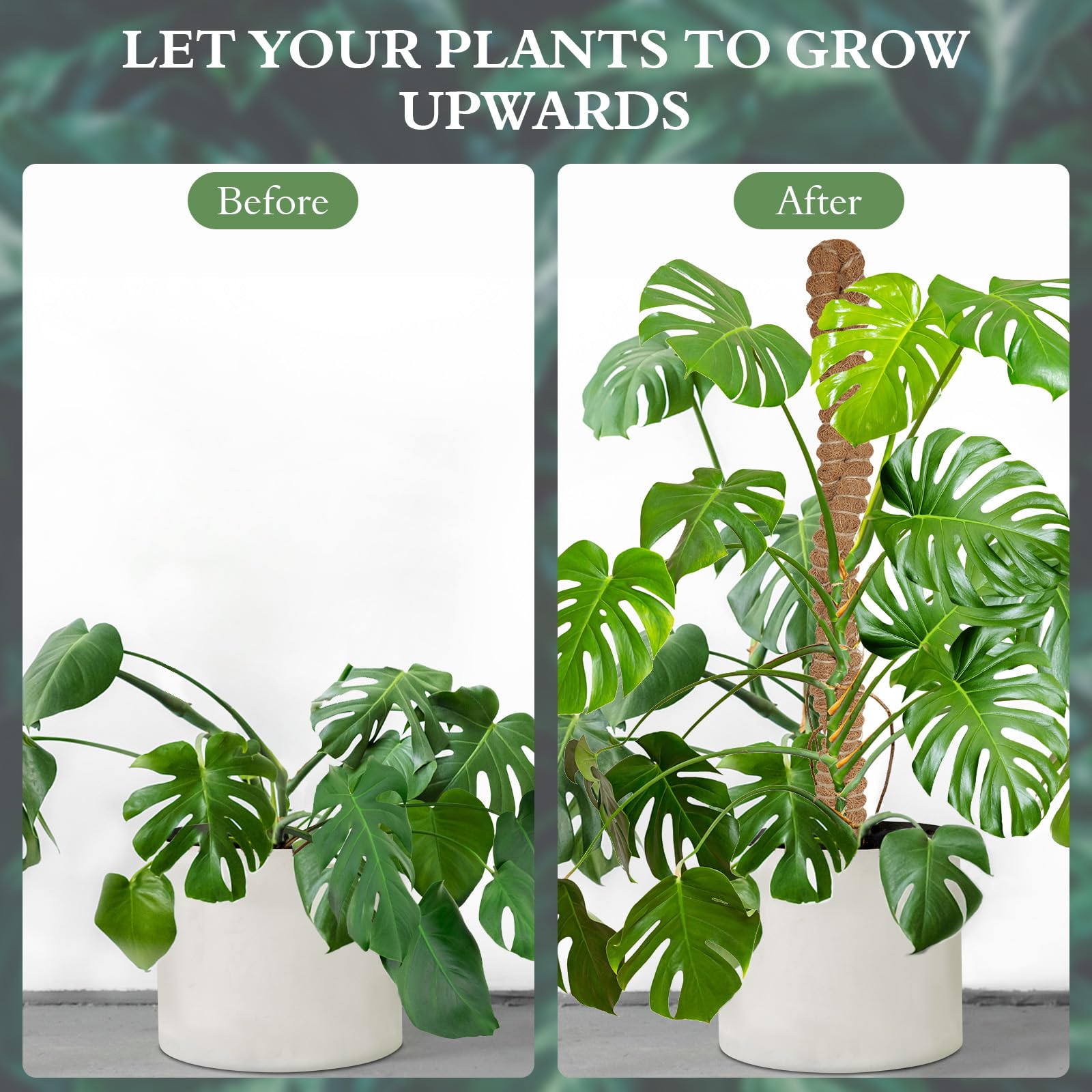 Moss Pole for Plants Monstera - 25 Inch Plant Stakes for Indoor, Moss Poles for Climbing Plants, Handmade Coco Coir Pole Plant Support for Creeper Plants Grow Upwards(Single)