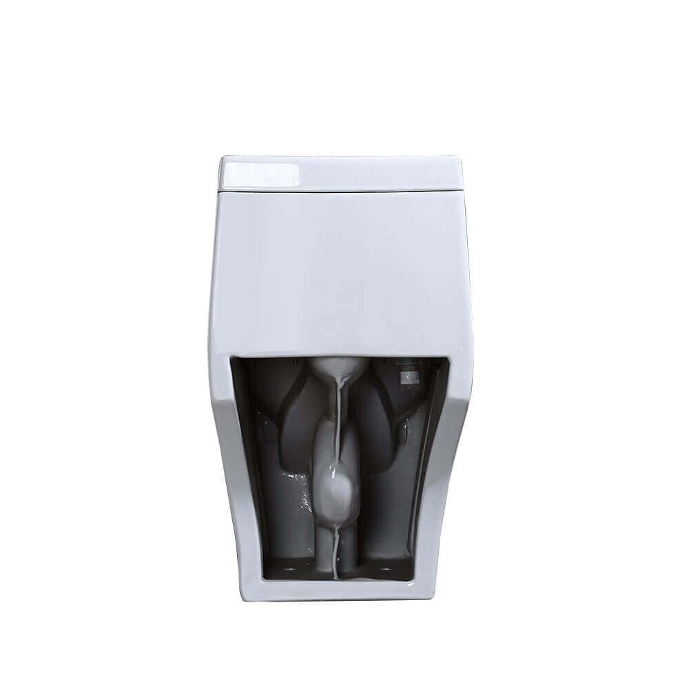Fine Fixtures Dual-Flush Elongated One-Piece Toilet with High Efficiency Flush