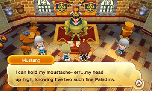 Fantasy Life (Nintendo 3DS)