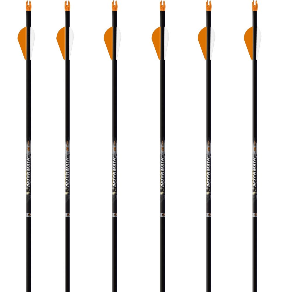 Easton 420789-TF Aftermath Arrows 2"