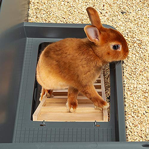 Ferplast Krolik Extra-Large Two-Story Rabbit Cage in Burgundy | Rabbit Cage includes All Accessories & Measures 39L x 20.3W x 36.2H & includes All Accessories | 1-Year Manufacturer's Warranty
