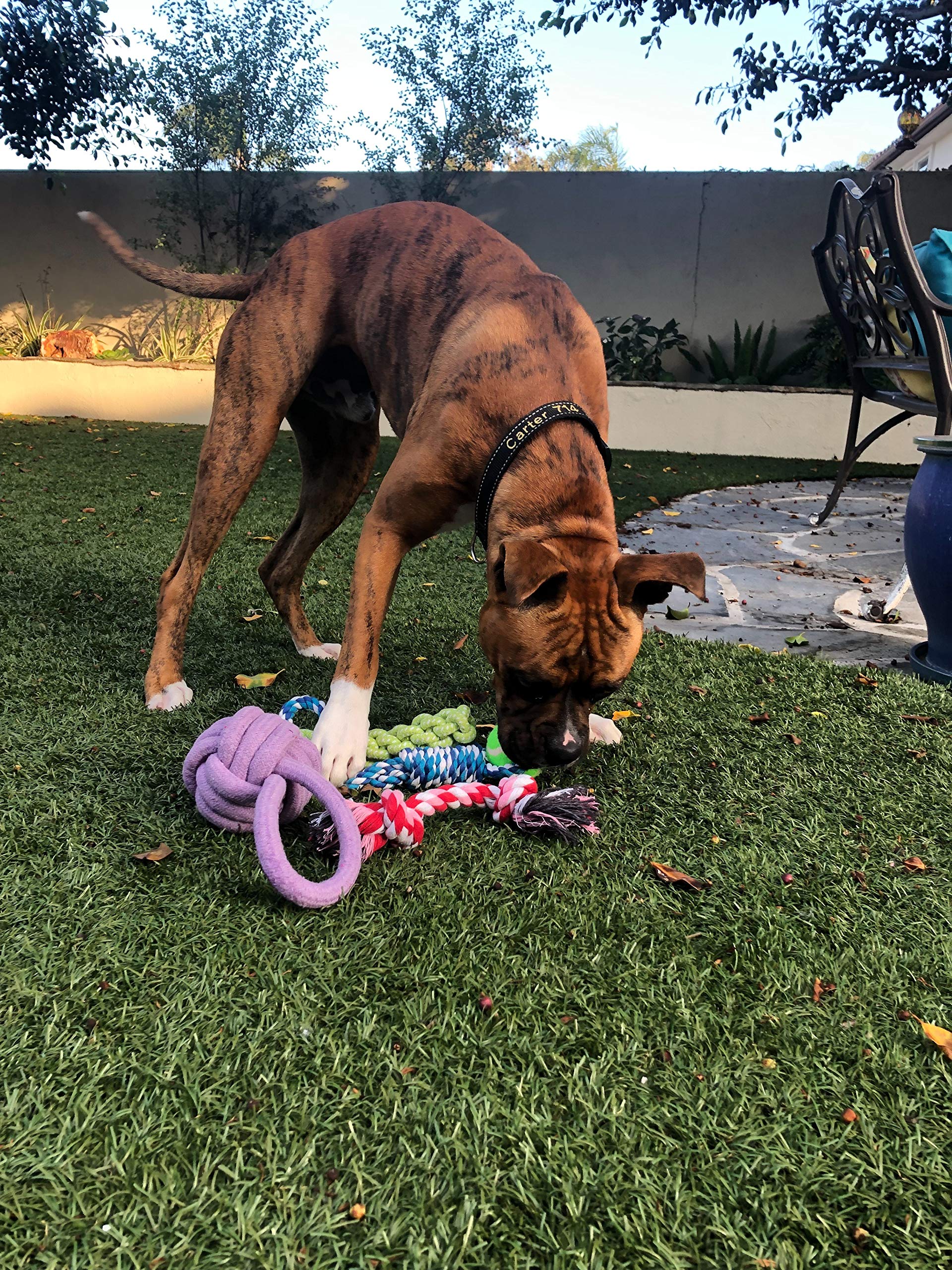 RITE-HITE Rope Dog Toys - for Small, Medium, and Large Size Dogs, Includes Ball, Made for Aggressive chewers and Great for Teething (Large)
