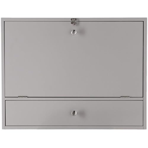 SEI Furniture Benwick Wall Mount Laptop Desk, Gray