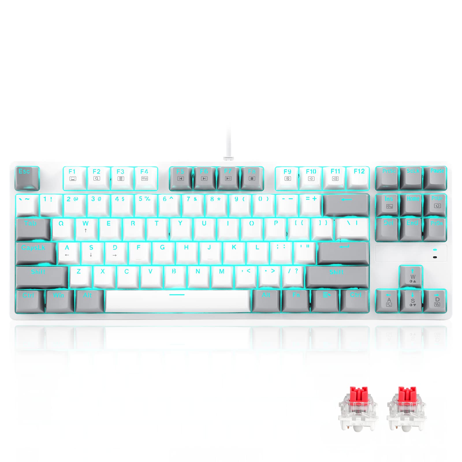 HUO JI E-YOOSO Z-87 Mechanical Gaming Keyboard 87 Key LED Backlit Wired with Anti-Dust Proof Switches Tenkeyness for Windows PC (Red Switches,White and Grey)