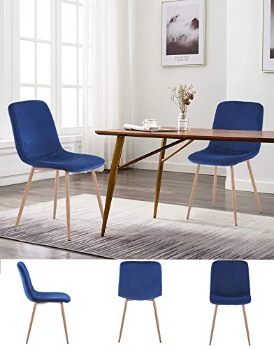 Springfavor Blue Velvet Dining Chairs Set of 4 Kitchen & Dining Room Chairs with Sturdy Metal Legs Upholstered Mid Century Modern Dining Chairs for Living Room/Kitchen/Bedroom