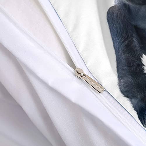 Quilt Cover Queen Size Chimpanzee Animal 3D Bedding Sets Mammal Duvet Cover Breathable Hypoallergenic Stain Wrinkle Resistant Microfiber with Zipper Closure,beding Set with 2 Pillowcase