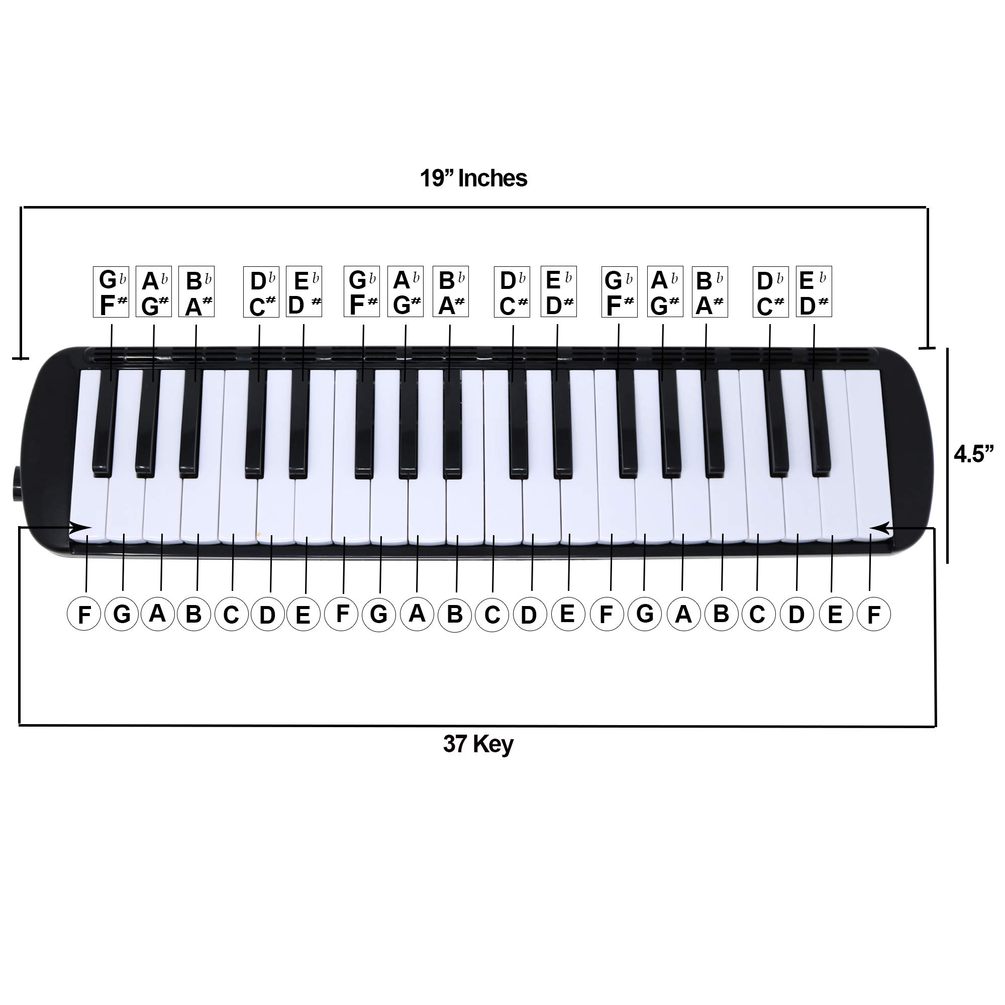 Fever Melodica, Black (M37-BK)