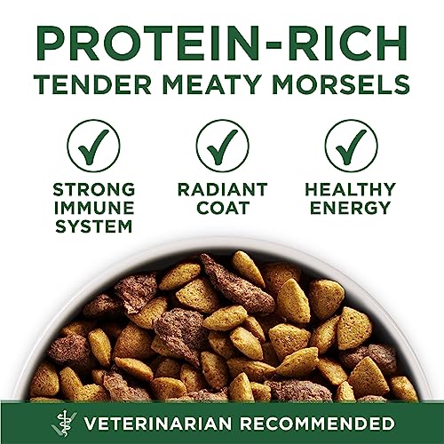 Purina ONE Plus Small Breed Lamb and Rice Formula Dry Dog Food - 15 lb. Bag