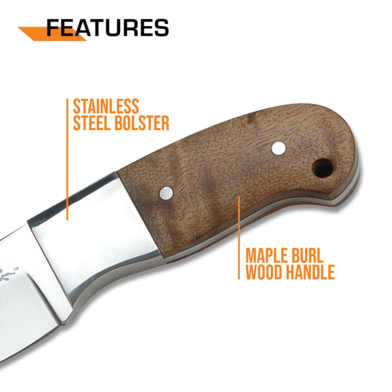 Elk Ridge - Outdoors Fixed Blade Knife - 5-in Overall, 440 Stainless Steel Mirror Polished Blade, Burl Wood Handle, Leather Sheath - Hunting, Camping, Survival, Everday - ER-111