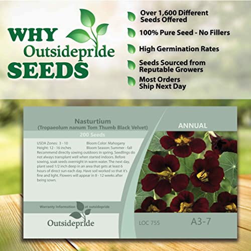 Outsidepride Tropaeolum Nasturtium Black Velvet Climbing Flowering, Dwarf Plants - 200 Seeds