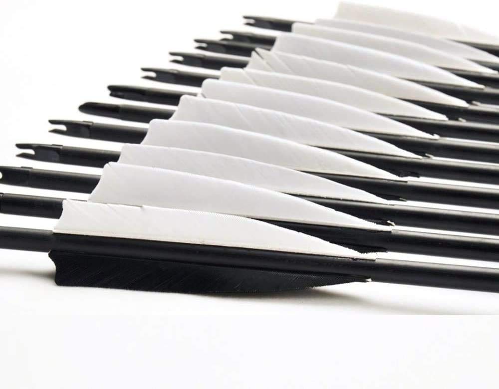 EROCK Carbon Shaft Archery Arrows 32inch with Black-White True Feather Spine 500 for Recurve Compound Bow Hunting Shooting Target Practice (6 Pack)