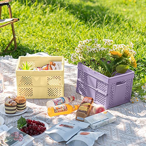 DI QIU REN 2 Pack Pastel Crates for Storage, Plastic Stackable Crates Small Baskets with Handles, Cute Mini Crates for Home Kitchen Desktop Shelf Office Organizing and Decoration(7.3x5.3x4.9)