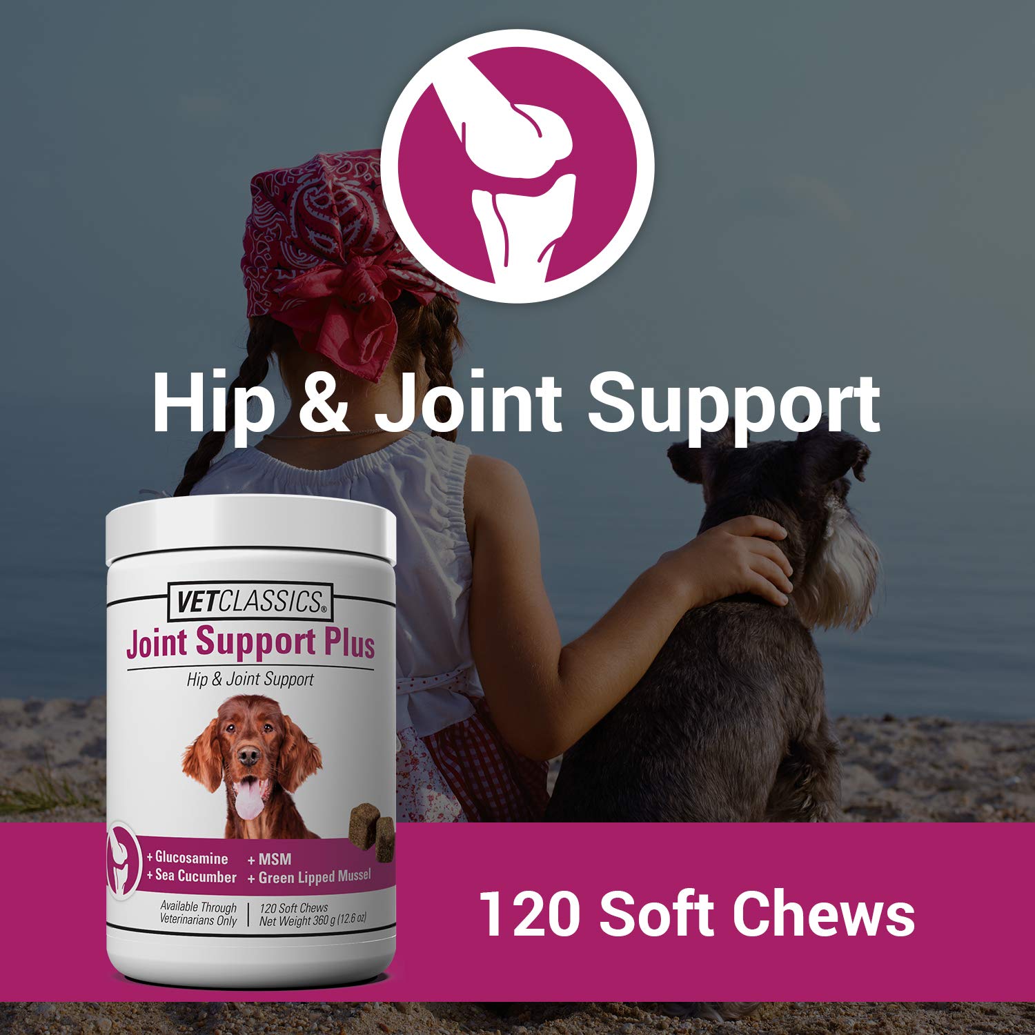 Vet Classics Joint Support Plus Dog Supplement - Hip Health Supplement for Dogs β Alleviates Aches and Discomfort - For Flexibility, Healthy Joint Function in Canines β Antioxidants β 120 Soft Chews